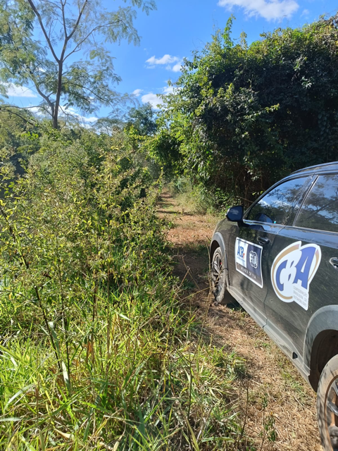 Brasileiro de Rally de Regularidade terá prosseguimento em julho com o ...